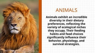 Classification of animals based on the food they eat | PPTX