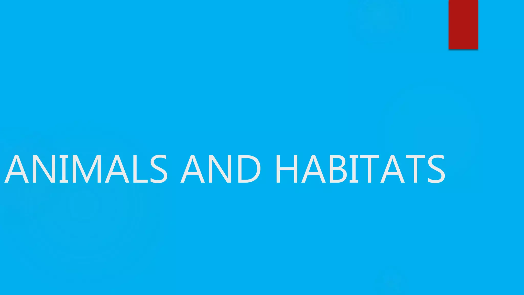 ANIMALS AND HABITATS.pptx