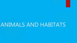 ANIMALS AND HABITATS.pptx