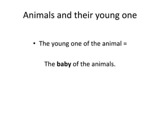 Animals and its young one | PPTX