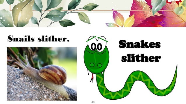 ANIMALS AND MOVEMENTS science amazing animal movements.pptx
