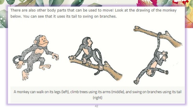 ANIMALS AND MOVEMENTS science amazing animal movements.pptx