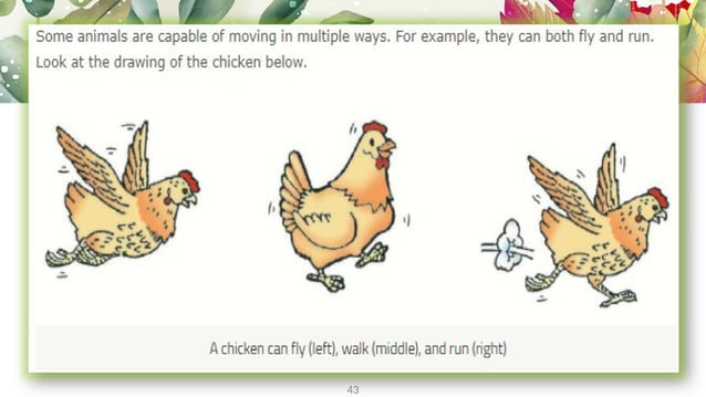 ANIMALS AND MOVEMENTS science amazing animal movements.pptx