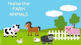 Animals and numbers.pptx