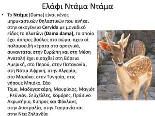 ΦΥΤΑ ΚΑΙ ΖΩΑ ΤΗΣ ΡΟΔΟΥ-Β | PPTX
