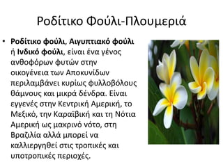 ΦΥΤΑ ΚΑΙ ΖΩΑ ΤΗΣ ΡΟΔΟΥ-Β | PPTX