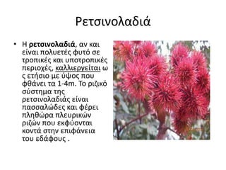 ΦΥΤΑ ΚΑΙ ΖΩΑ ΤΗΣ ΡΟΔΟΥ-Β | PPTX