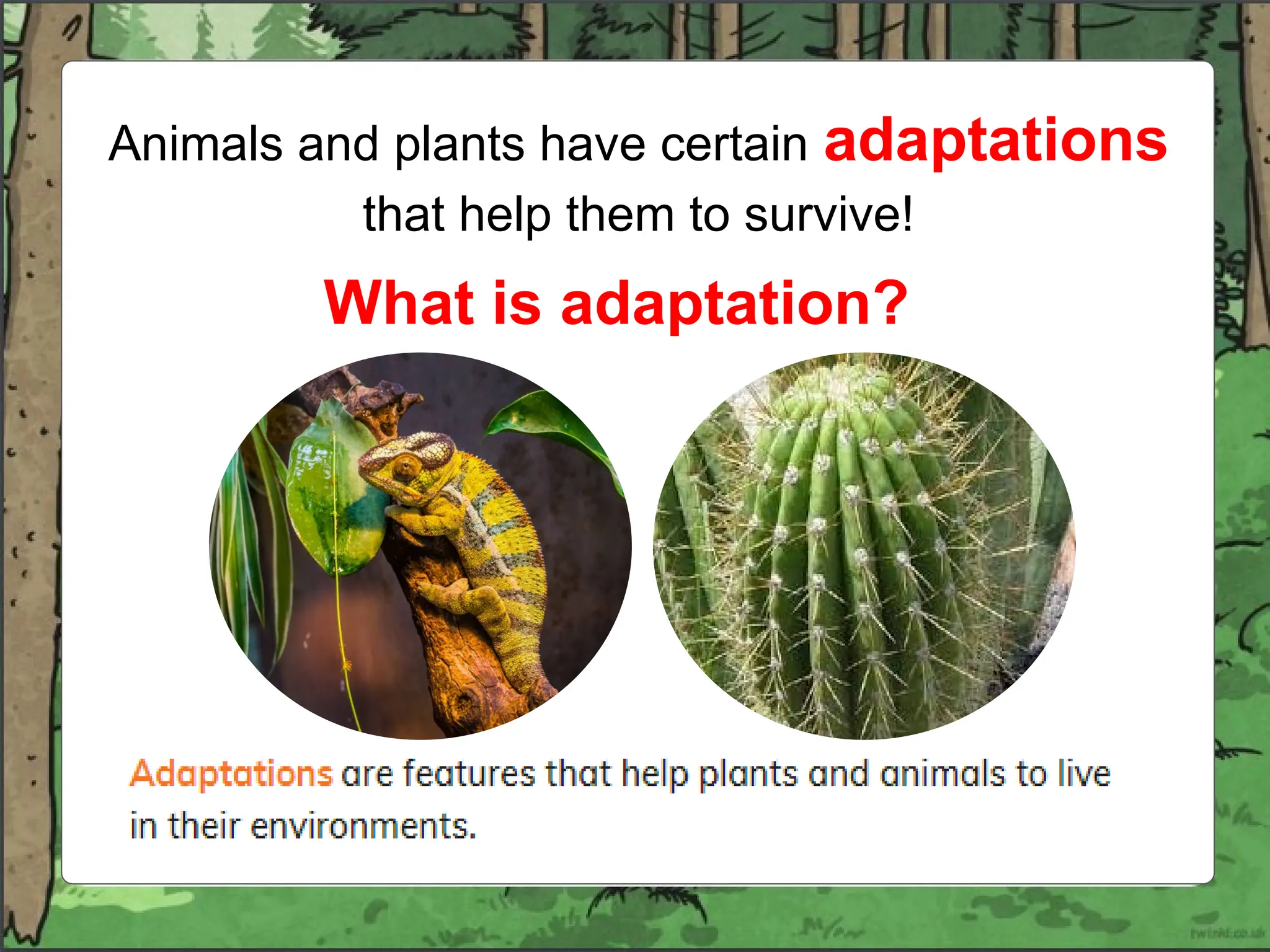 Animals and Plants Adaptation to different Environments.pptx