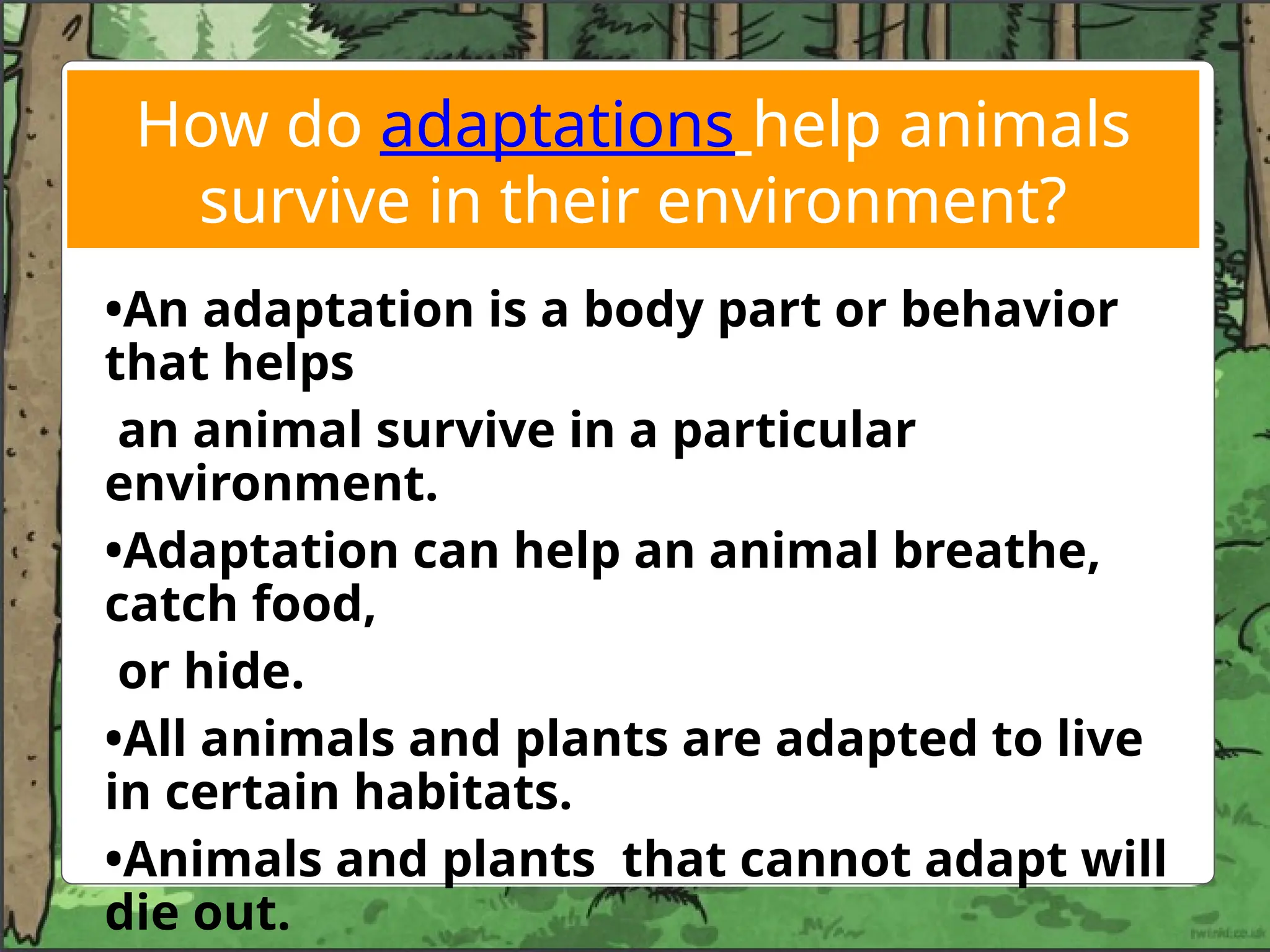 Animals and Plants Adaptation to different Environments.pptx