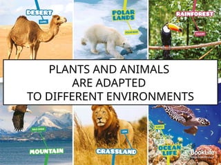 Animals and Plants Adaptation to different Environments.pptx