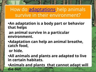 Animals and Plants Adaptation to different Environments.pptx
