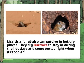 Animals and Plants Adaptation to different Environments.pptx