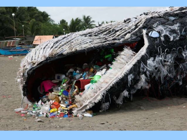 Animals and plastic | PPTX