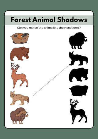 Animals and Shadows Matching Worksheet in Green and White Illustration ...