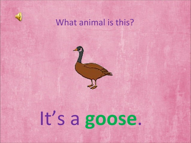 Animals And Sounds Slides Ppt 97 | PPS