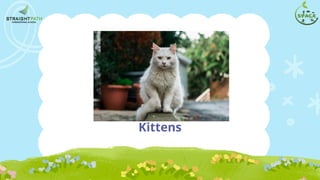 Animals and their babies - ppt for kindergarten students | PPTX