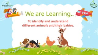Animals and their babies - ppt for kindergarten students | PPTX