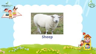 Animals and their babies - ppt for kindergarten students | PPTX