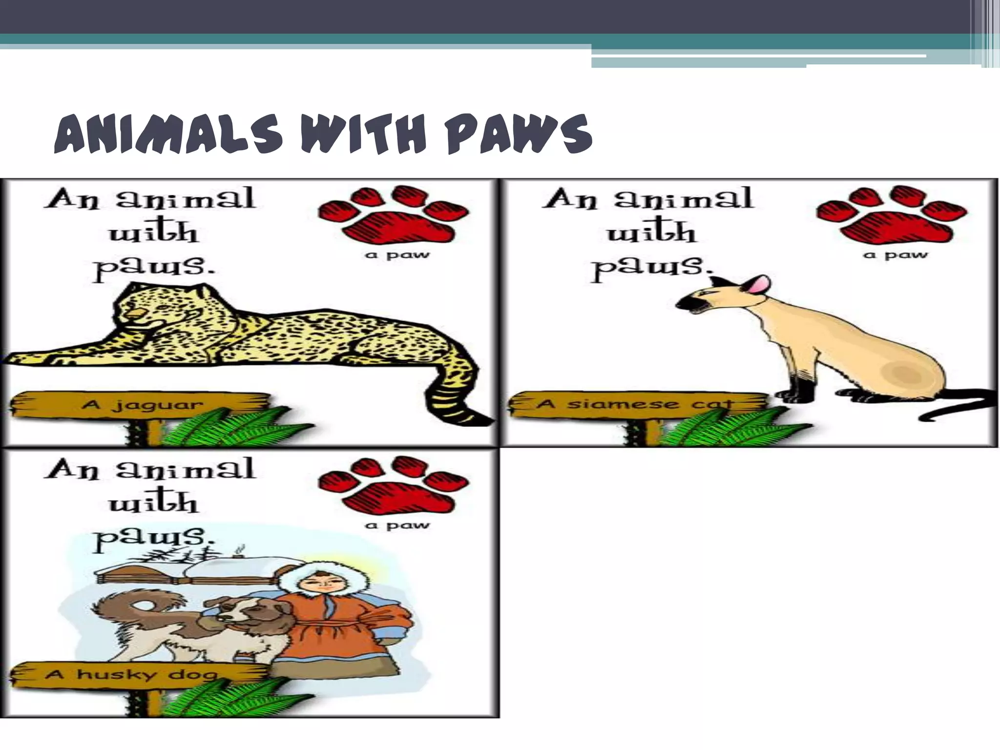 Animals and their body parts | PPTX