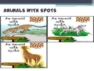 Animals and their body parts | PPTX
