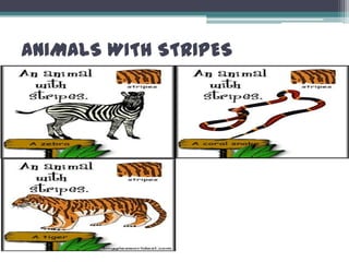 Animals and their body parts | PPTX
