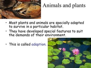 Animals and their Environment.pdf
