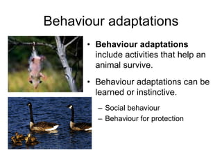 Animals and their Environment.pdf