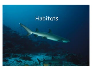 Animals and their Environment.pdf