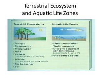 Animals and their Environment.pdf