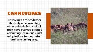 Animals and Their Food Educational Presentation in Orange and White ...