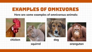 Animals and Their Food Educational Presentation in Orange and White ...