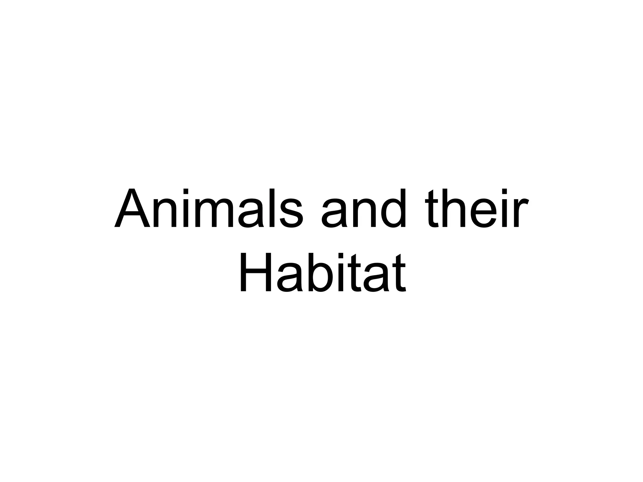 Animals and their habitat | PPTX