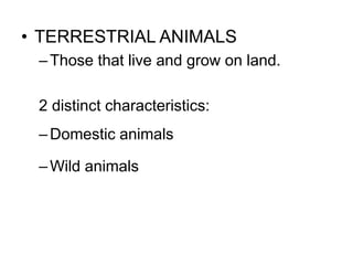 Animals and their habitat | PPTX