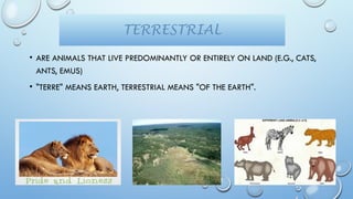animals and their habitat.power point presentation | PPTX