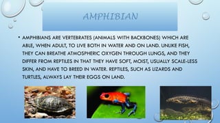 animals and their habitat.power point presentation | PPTX