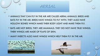 animals and their habitat.power point presentation | PPTX