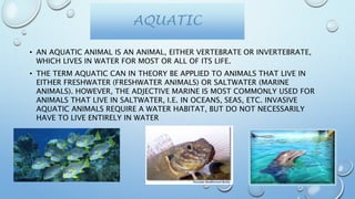 Animals and their_habitats | PPTX