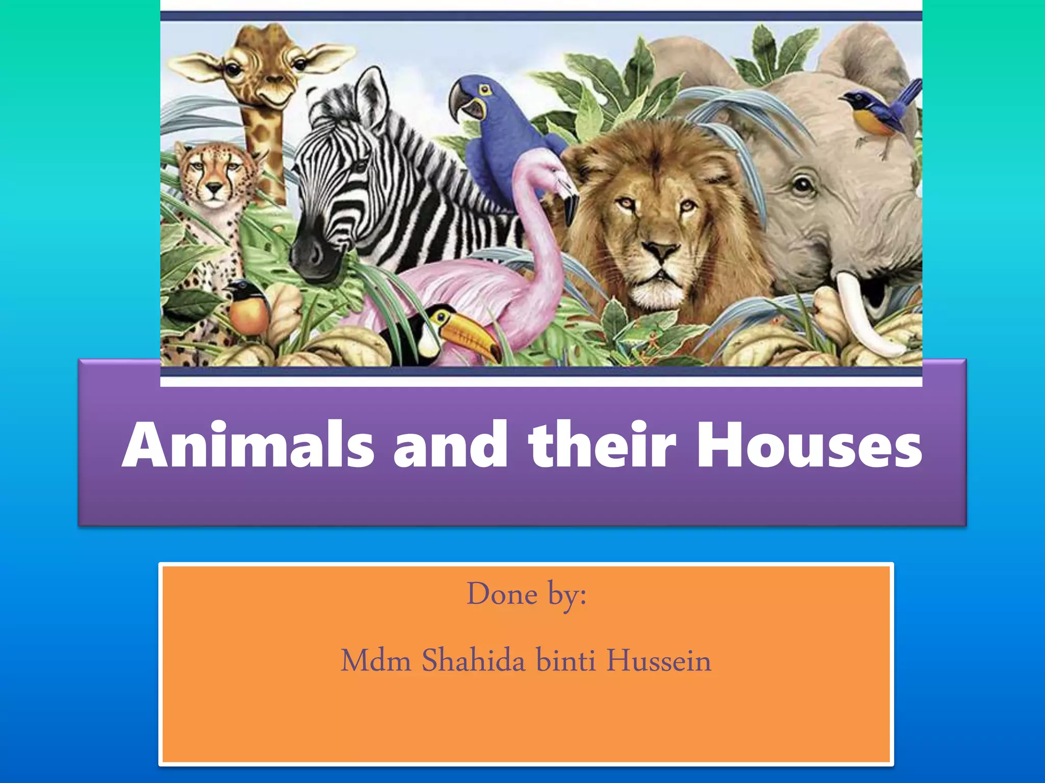 Animals and their houses | PPTX