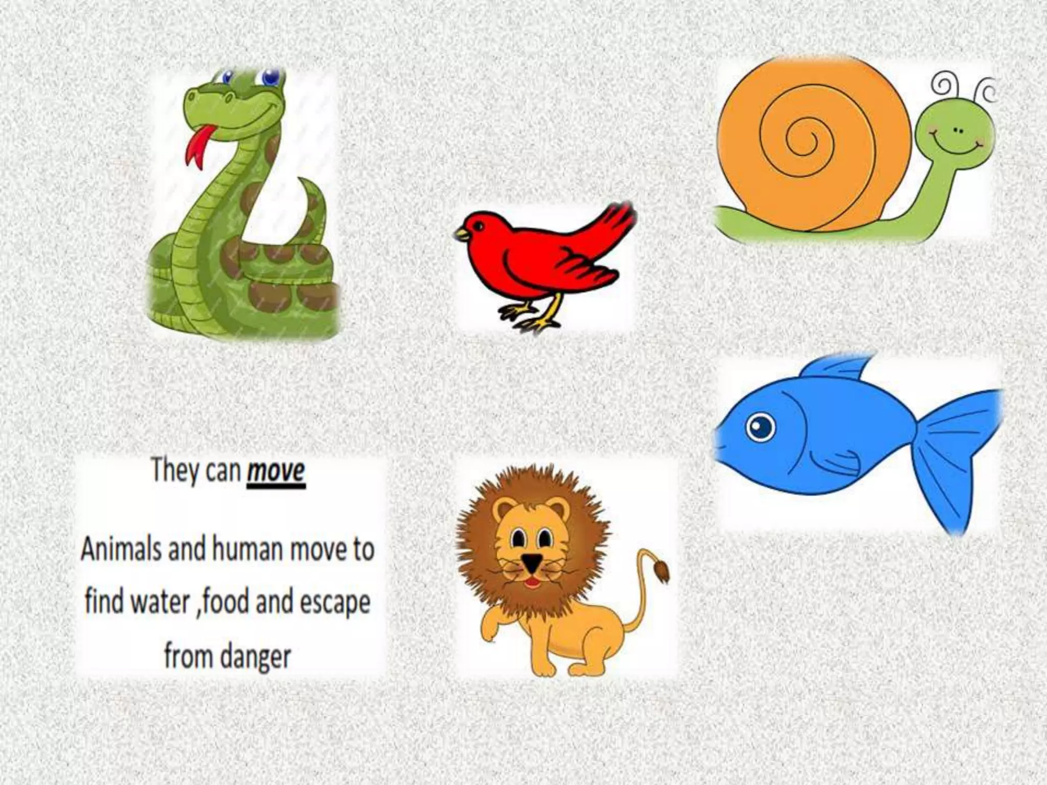 Animals and their parts wiki | PPTX
