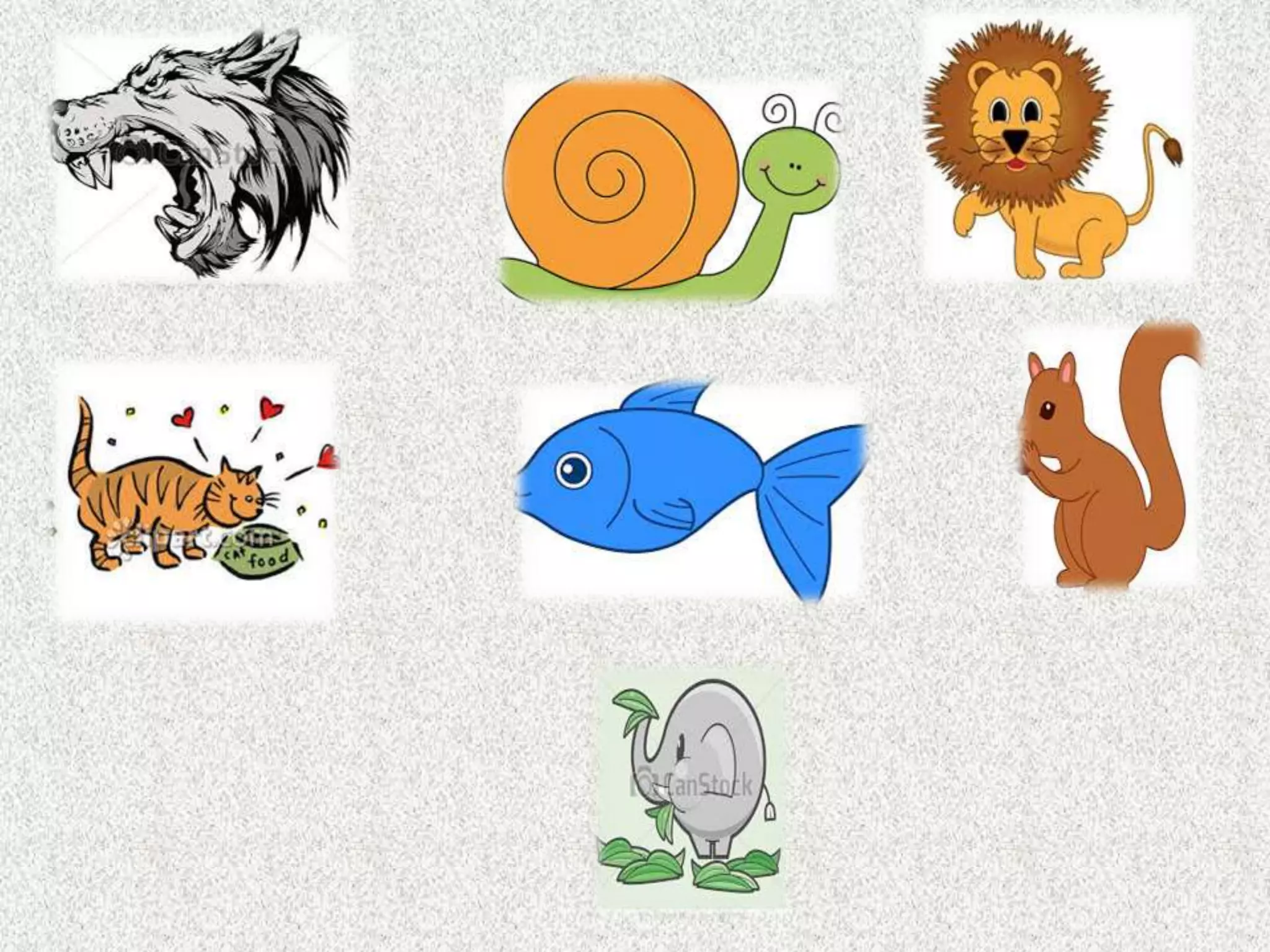 Animals and their parts wiki | PPTX