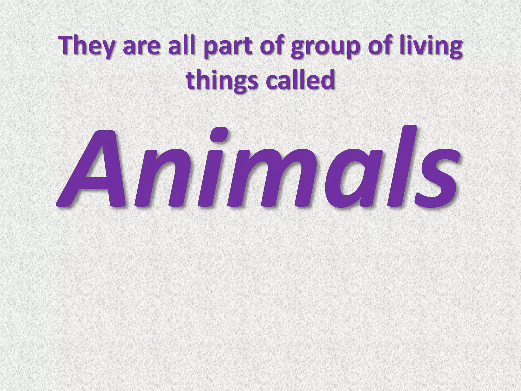 Animals and their parts wiki | PPTX