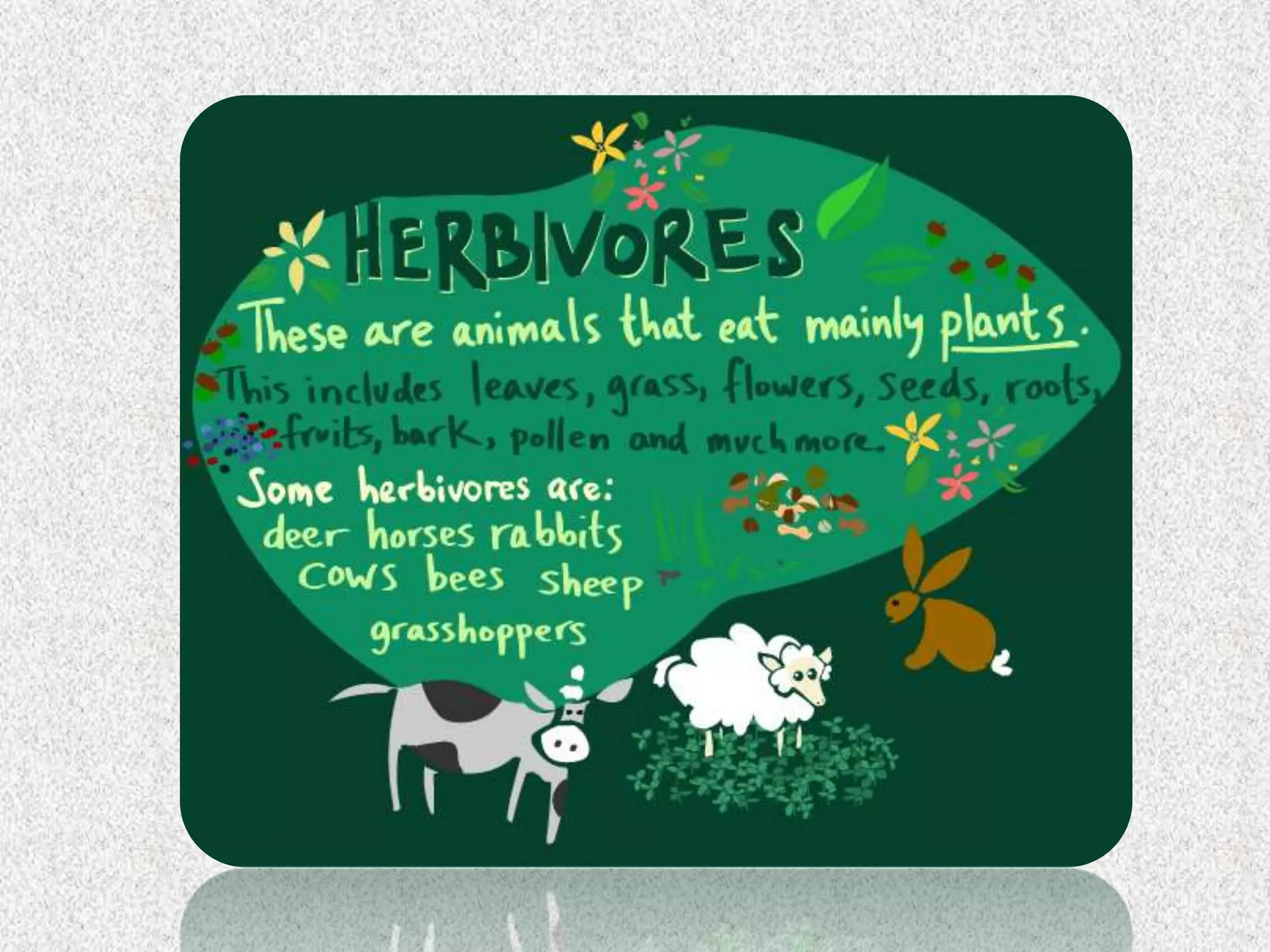 Animals and their parts wiki | PPT