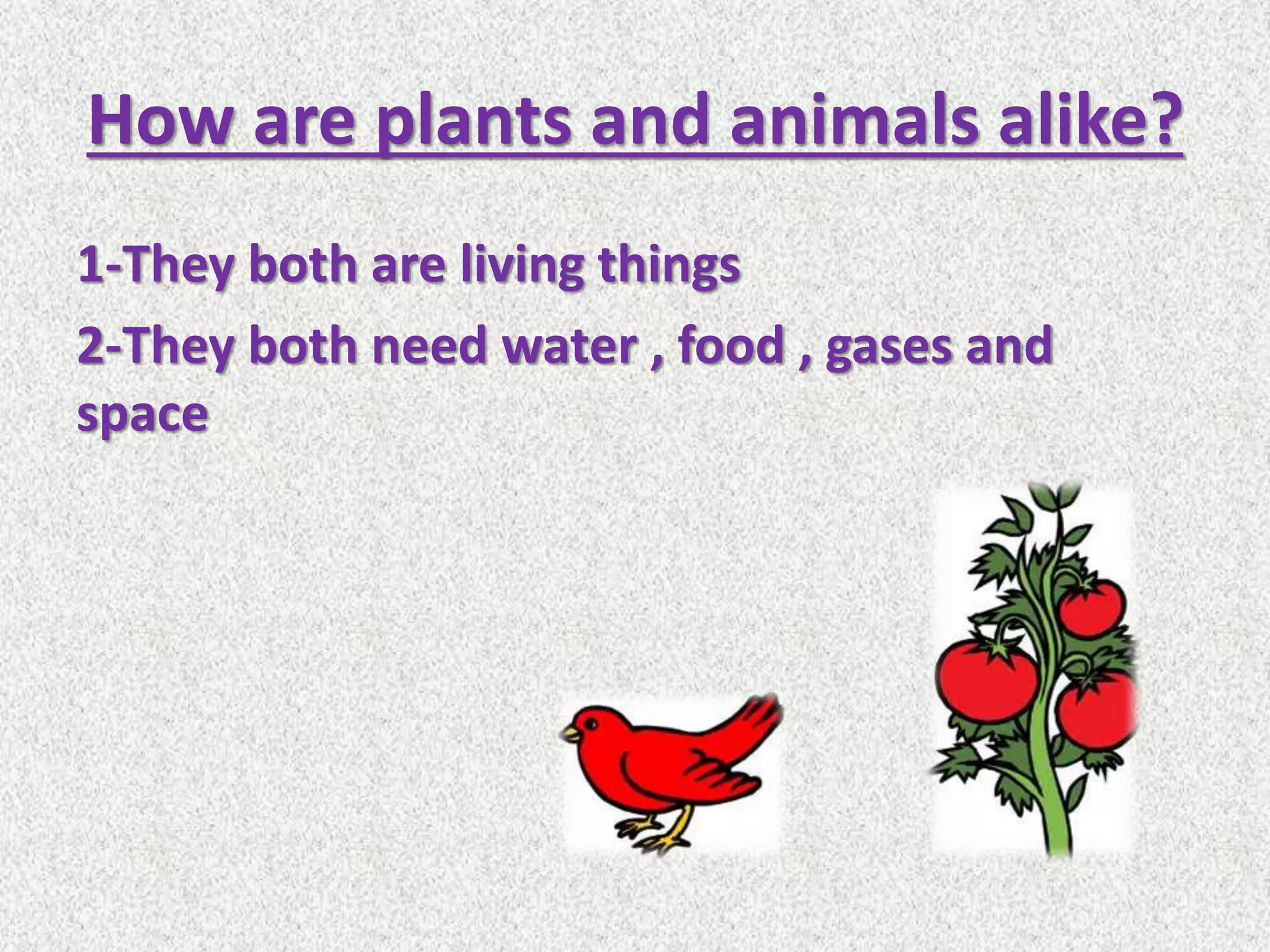 Animals and their parts wiki | PPT