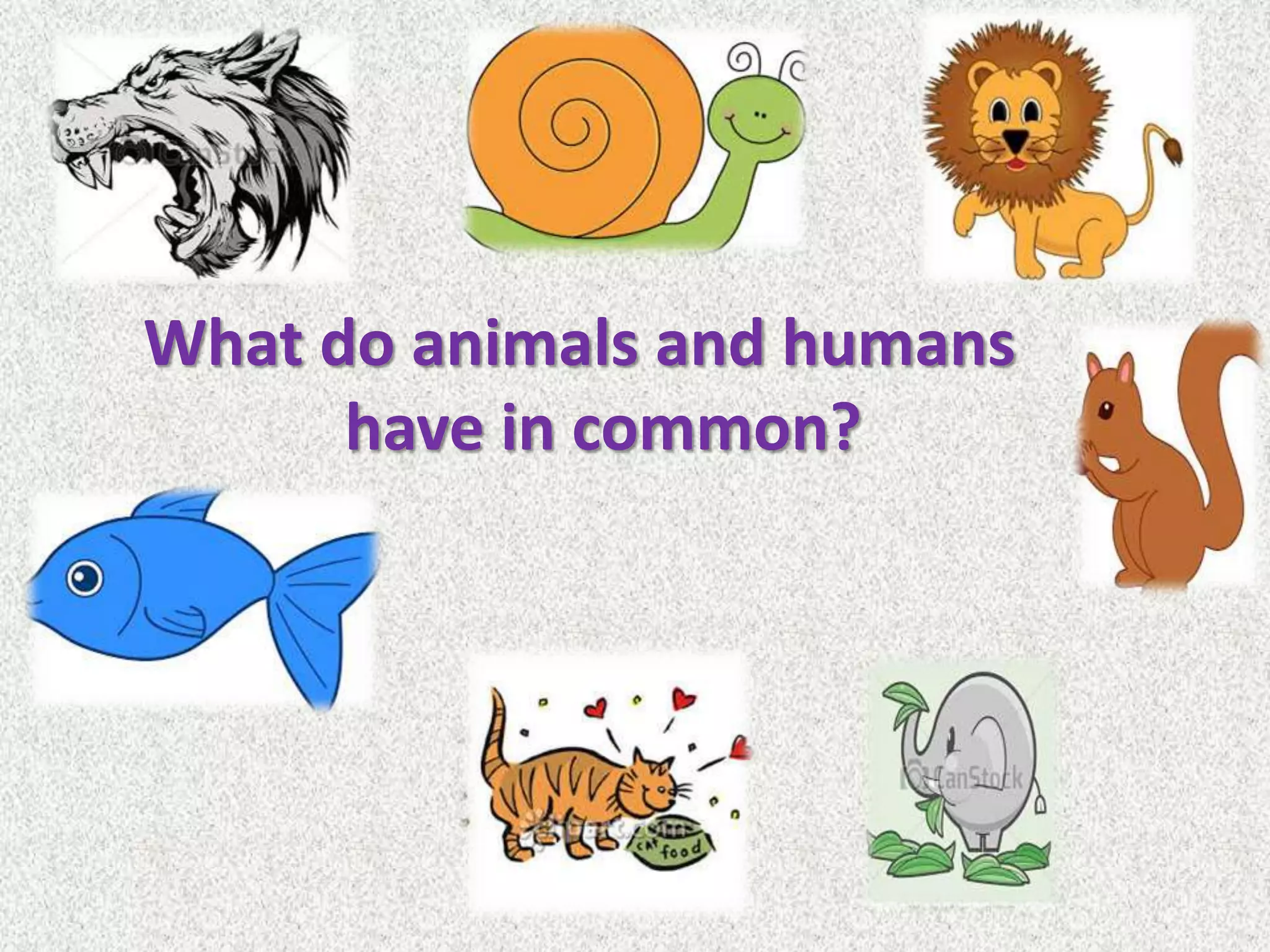 Animals and their parts wiki | PPT