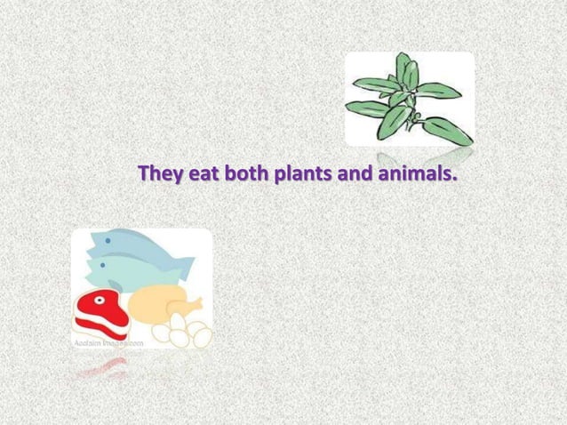 Animals and their parts wiki | PPT