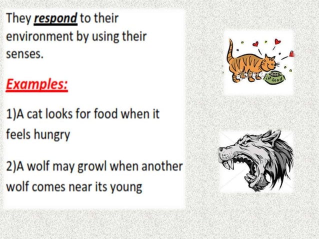Animals and their parts wiki | PPT