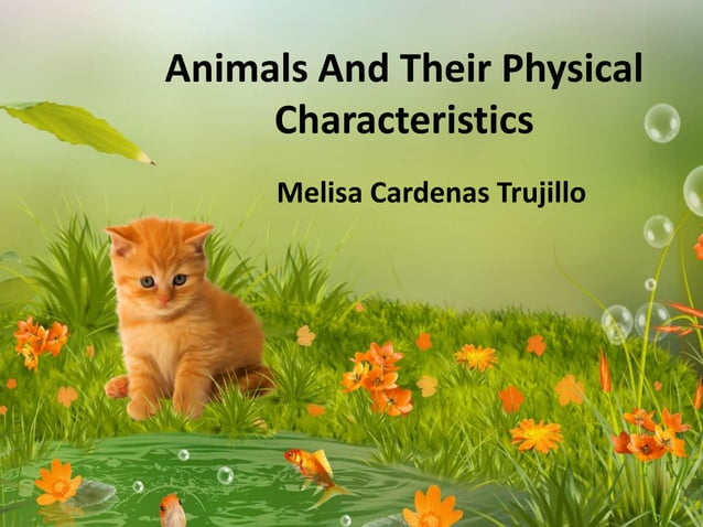 Animals and their physical characteristics | PPTX