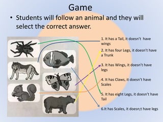 Animals and their physical characteristics | PPTX