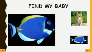 Animals and their young | PPTX