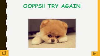 Animals and their young | PPTX